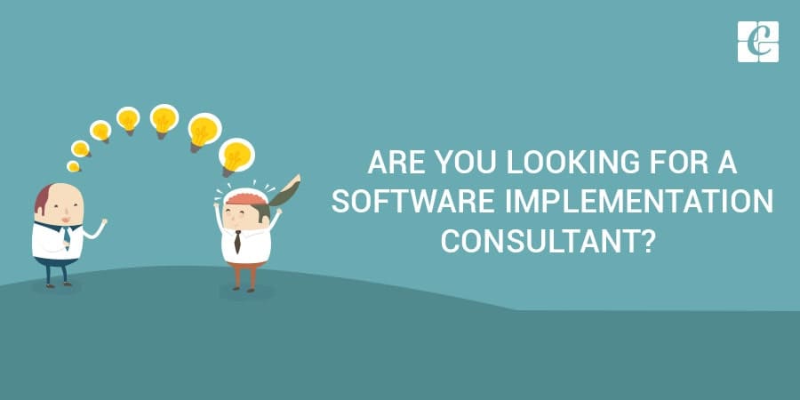 Are You Looking For a Software Implementation Consultant
